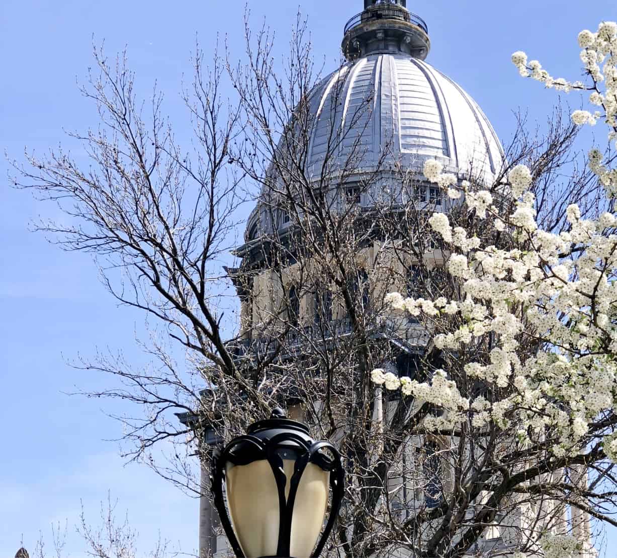 Home - Restore Justice Illinois